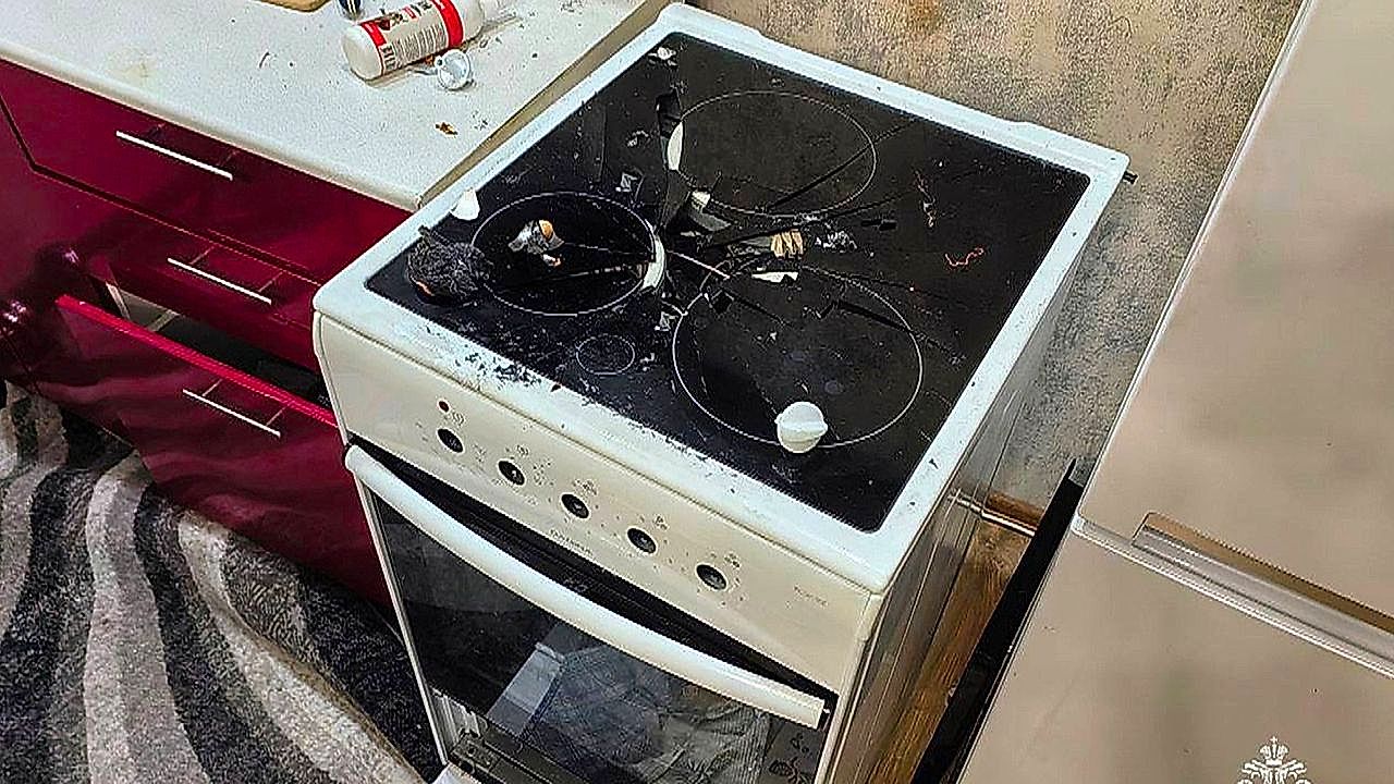 Un perro gira la perilla de una hornilla y hace explotar un apartamento