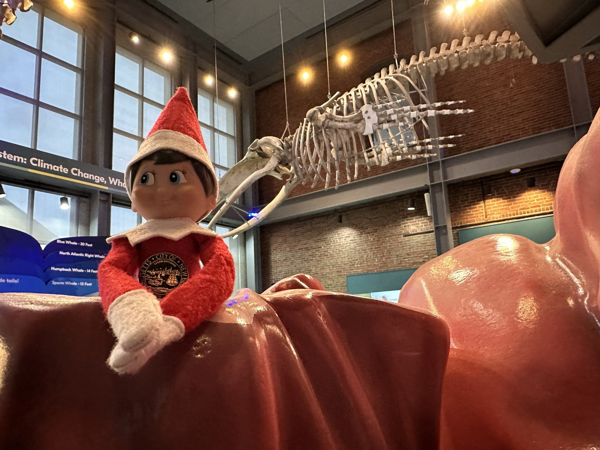 Moby the elf will be popping up across New Bedford this month