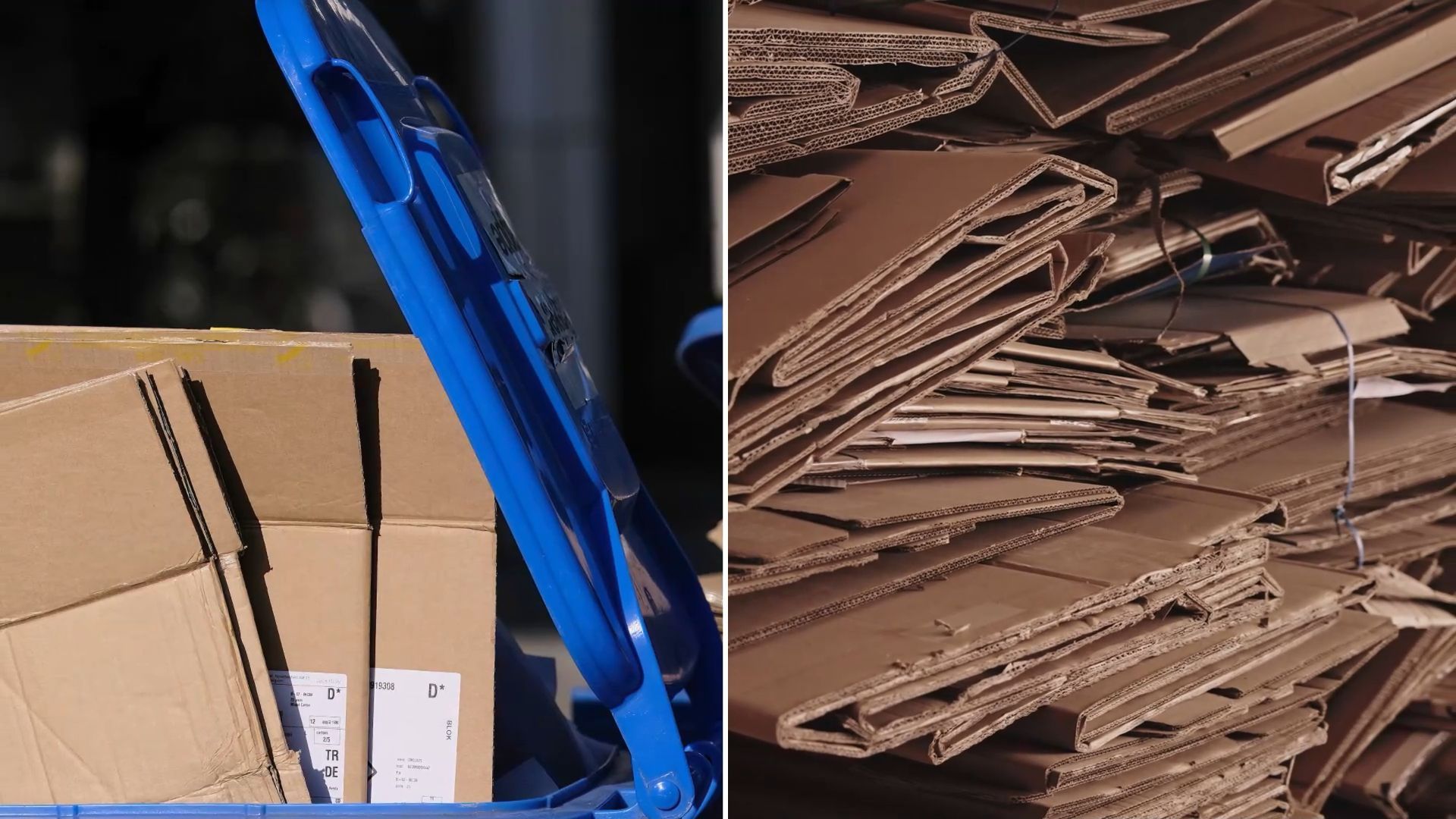 Altpapier pressen verboten: Darum bleibt die Tonne stehen
