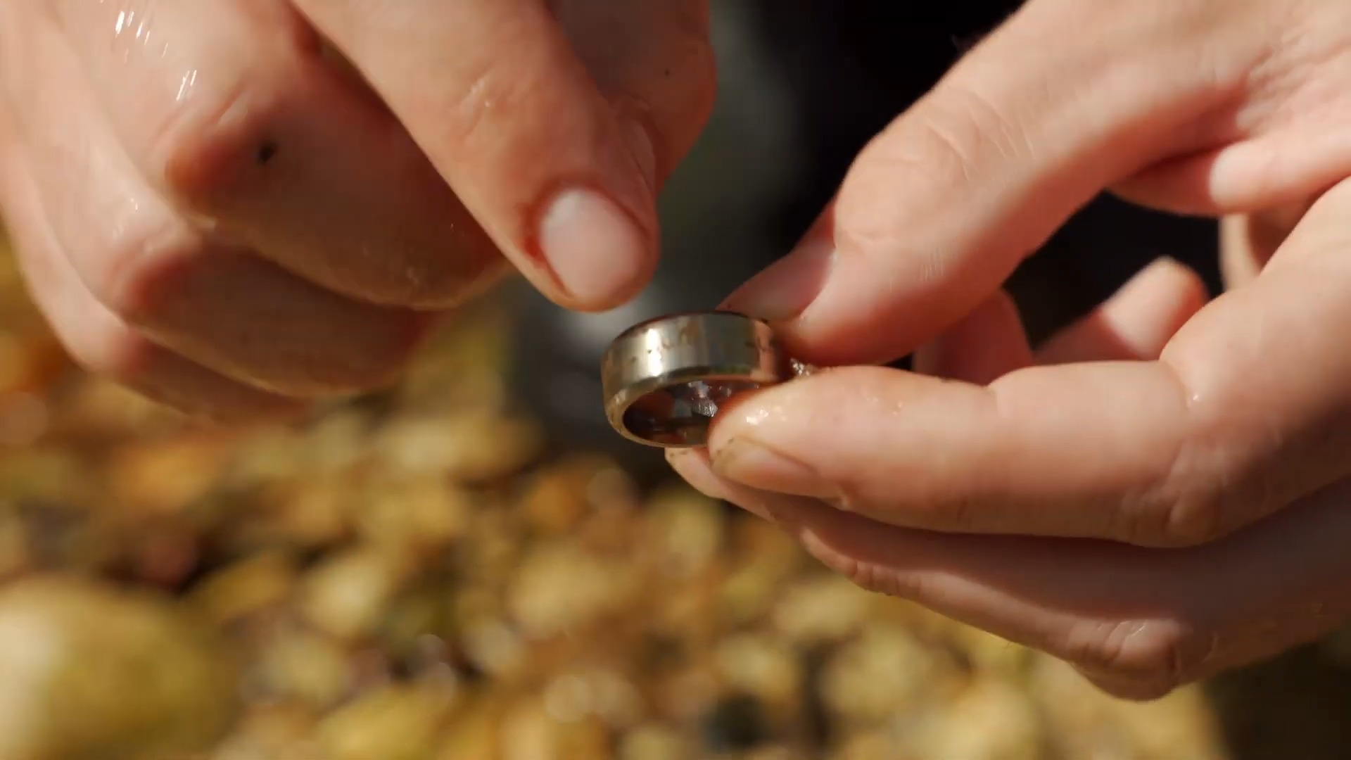 Beachcombing: Where “Just One More Rock” Turns Into a Full Expedition