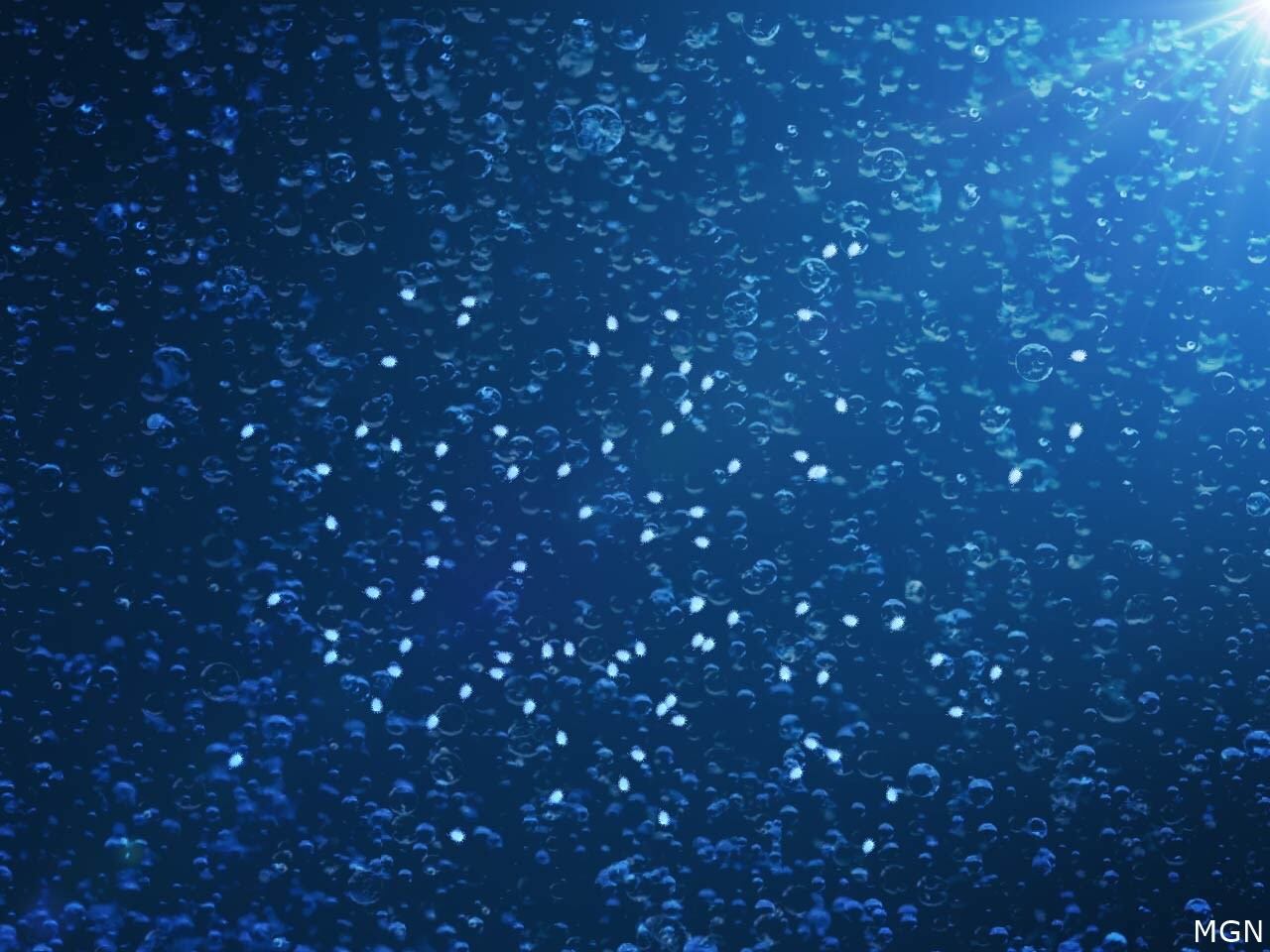 Brockman Elementary School dismissing students early amid boil water ...