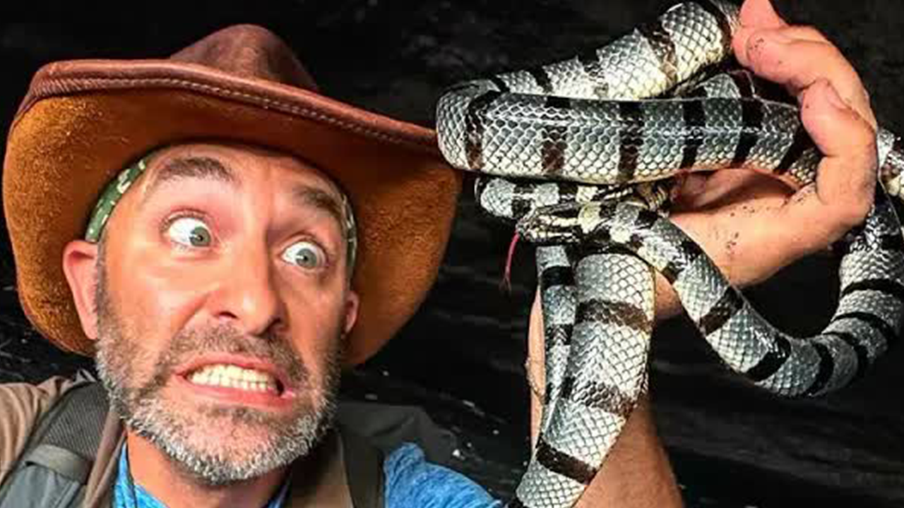 Holding the world's deadliest sacred snake!