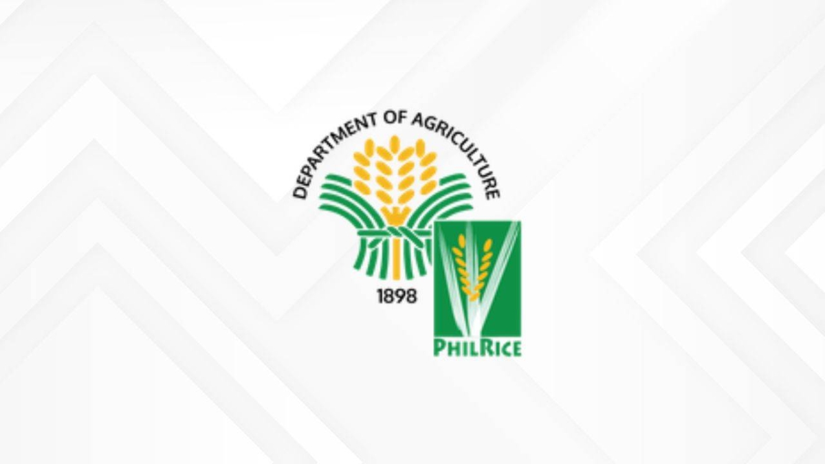 PhilRice forms co-op network to increase rice farmers' income