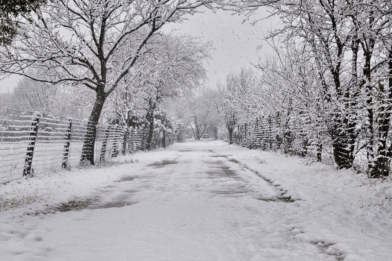 Cold front could bring 2 inches of snow to Texas Panhandle