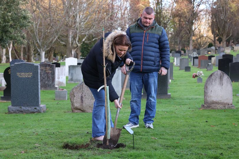 Sycamore Gap sapling planted in memory of Holly Newton on what would ...