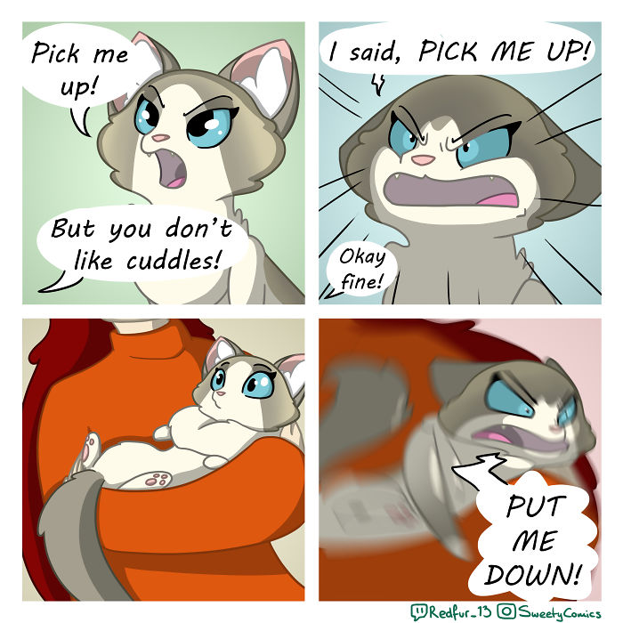 My 26 Comics That You Will Probably Relate To If You Have A Cat