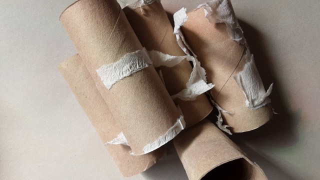 Dog owner reveals why you shouldn't throw away old toilet paper tubes ...