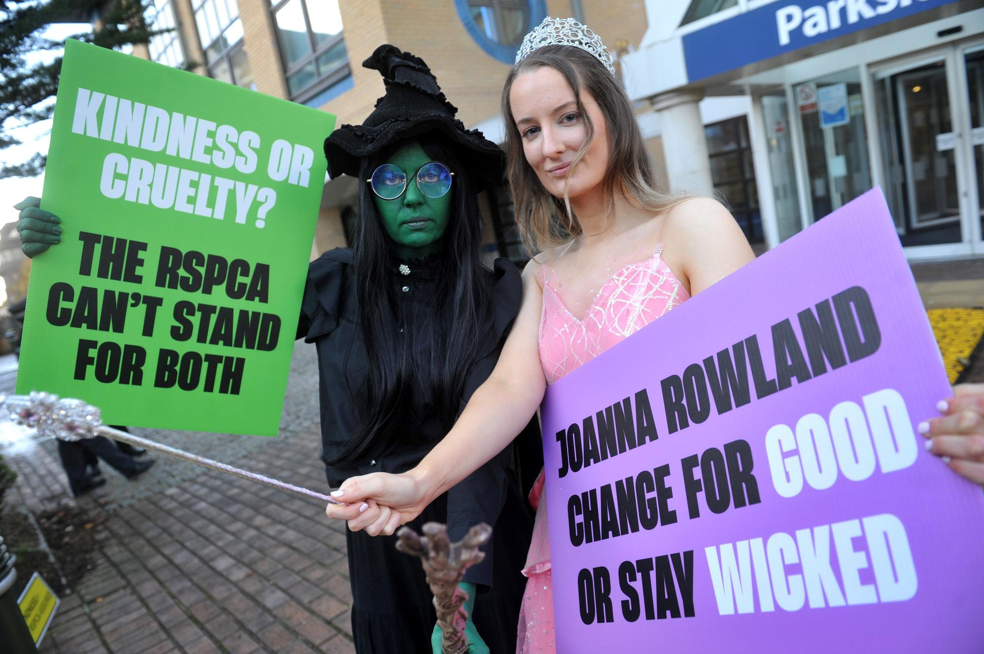 Wicked-themed protest backed by Chris Packham held at RSPCA HQ in ...