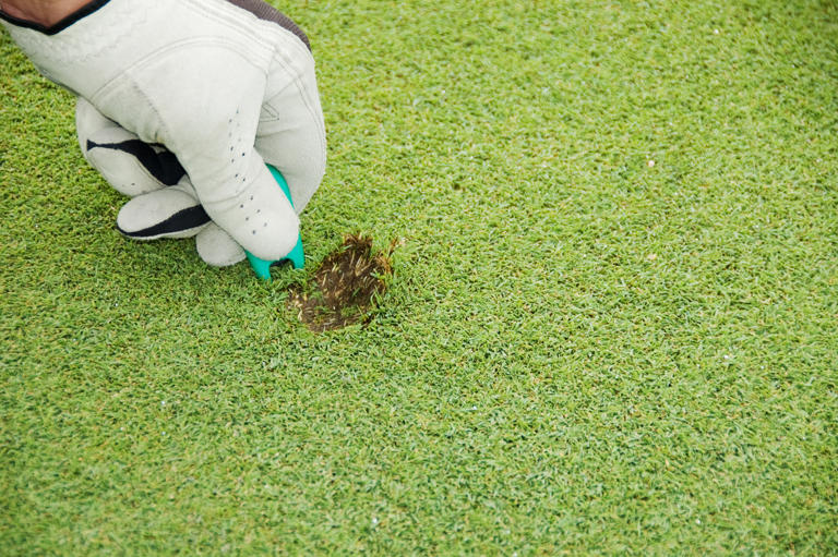 Diary Of A Secret Club Golfer: We're In A Pitch Mark Pandemic. How Do ...