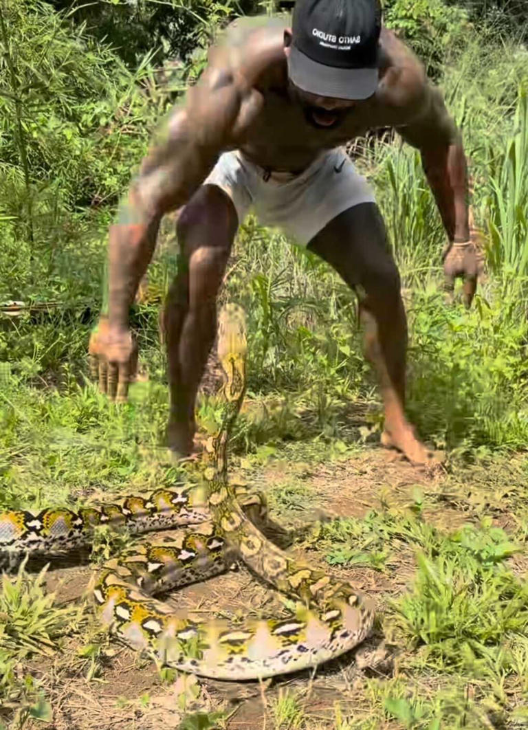 "That's crazy": Man wrestles massive snake in the wild, leaving Mzansi ...