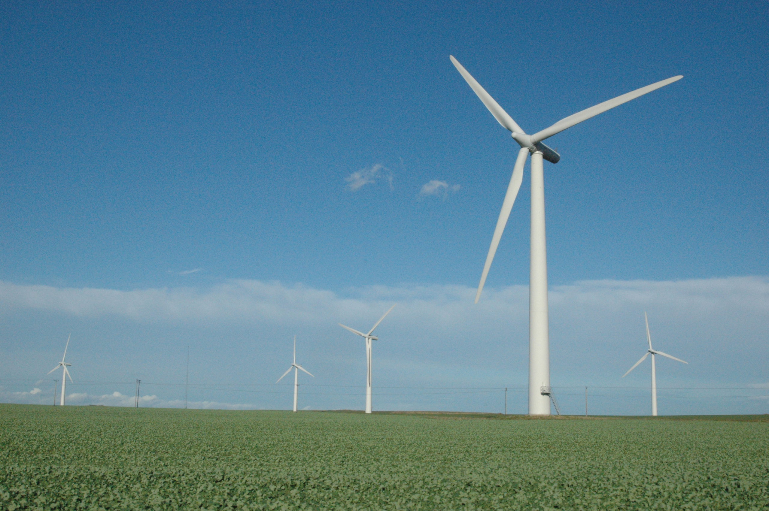 Wind Energy's Dirty Secret: A Coming Tsunami of Toxic, Non-Recyclable Waste