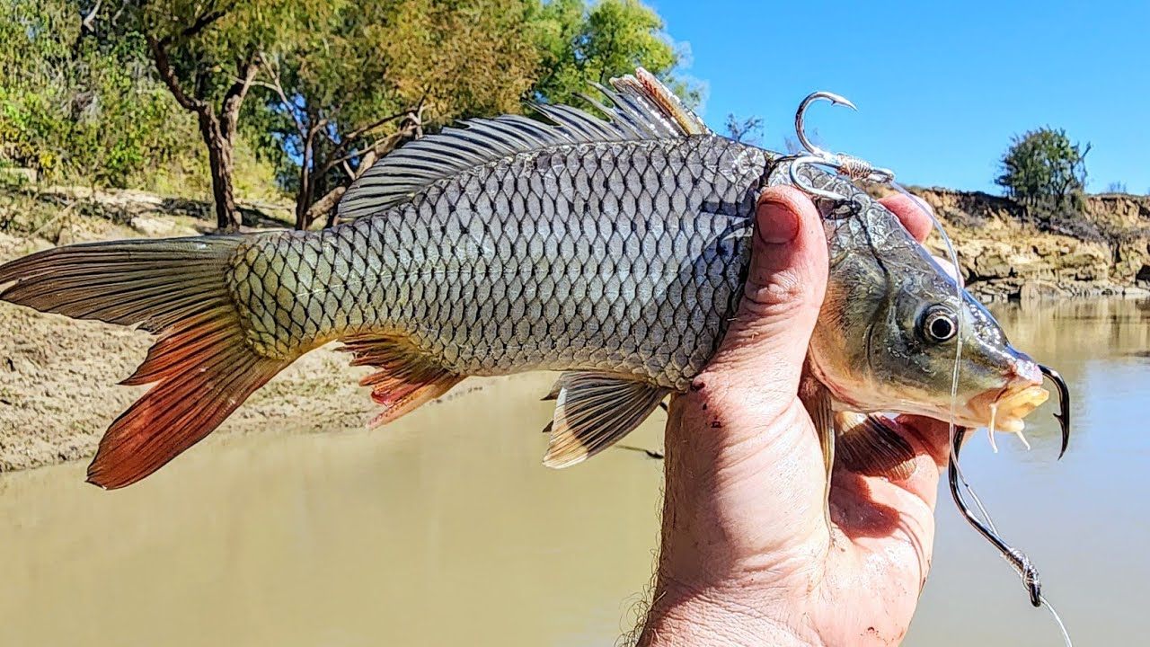 Almost the biggest fish ever caught