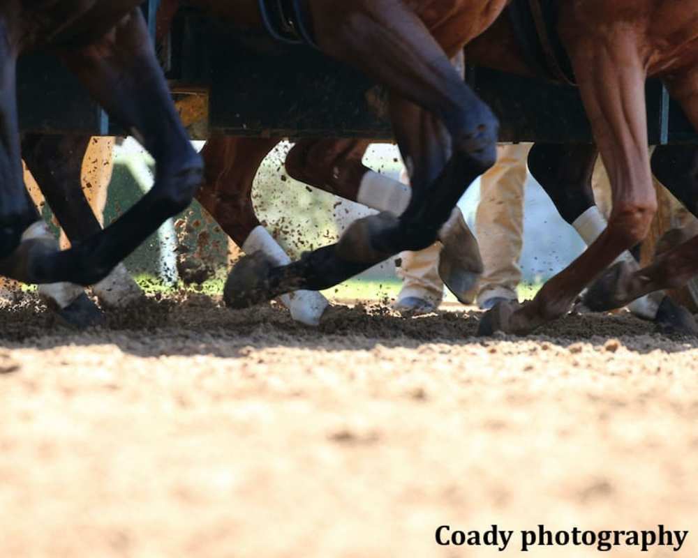 America’s Day At The Races To Provide Coverage of Jamaica’s Mouttet Mile