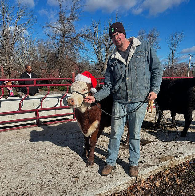 Famous family who have been farming their land for generations face ...