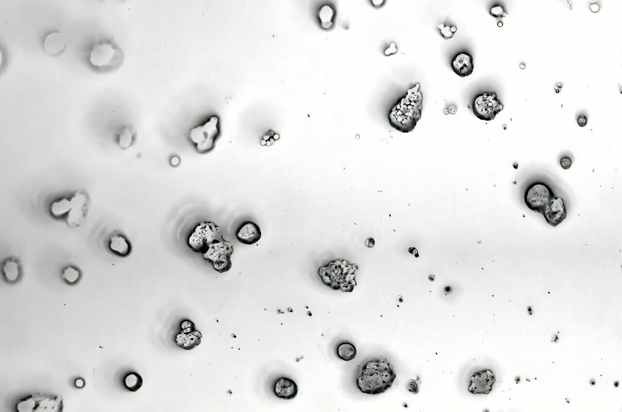 Two genes found to suppress colorectal cancer spread in preclinical models