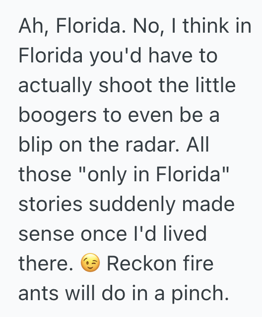 College student is furious when kids climb a tree and look in her ...