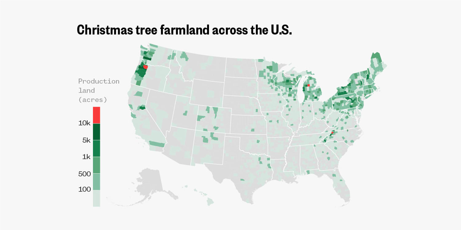 Map: Where in the US Christmas trees are grown
