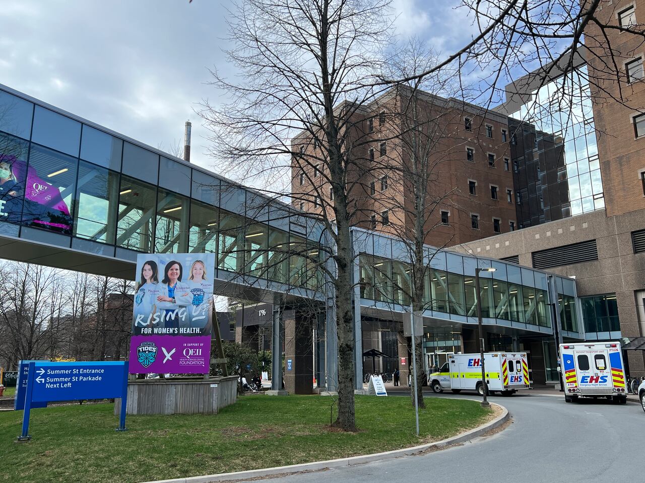 Cause of widespread NS IT outage on Friday unknown