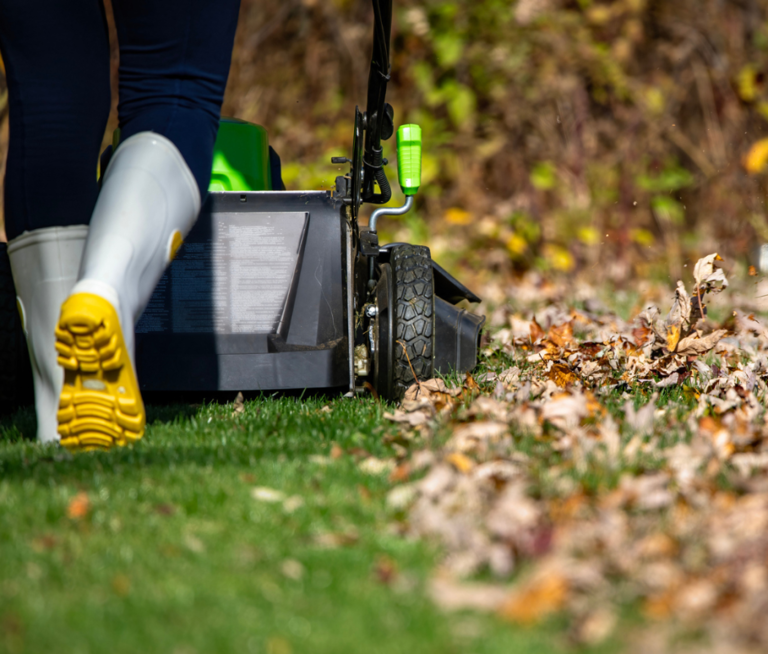 Stop tossing your raked leaves. Here’s how to use them as mulch for a ...