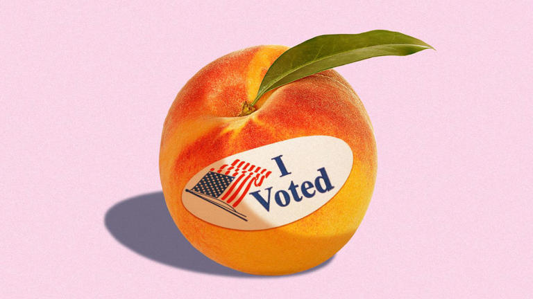 Roswell voters elect new mayor while incumbent wins in Sandy Springs