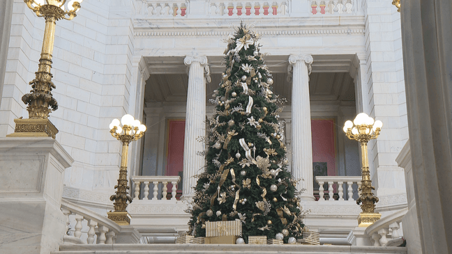 Christmas tree graces State House rotunda, but no public lighting event