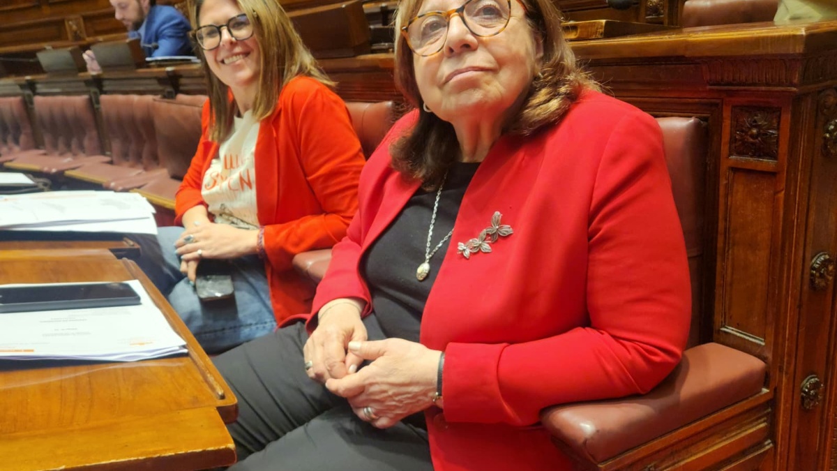 La diputada Ana Olivera se cayó en sesión y fue trasladada tras ...