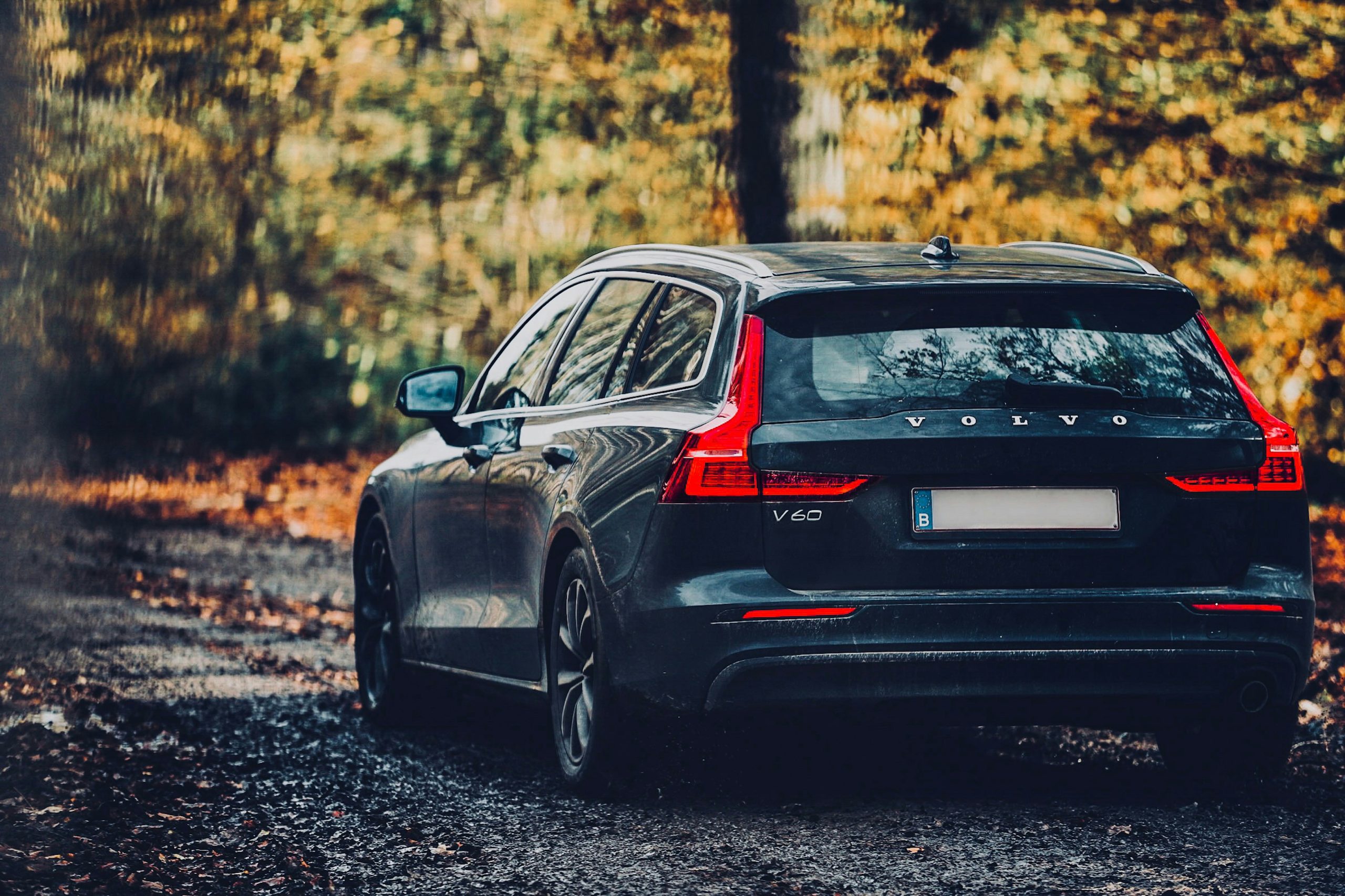 Why family station wagons are loved