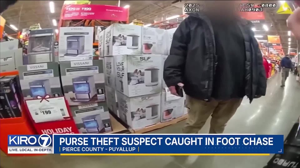 Video: Purse theft suspect caught in foot chase
