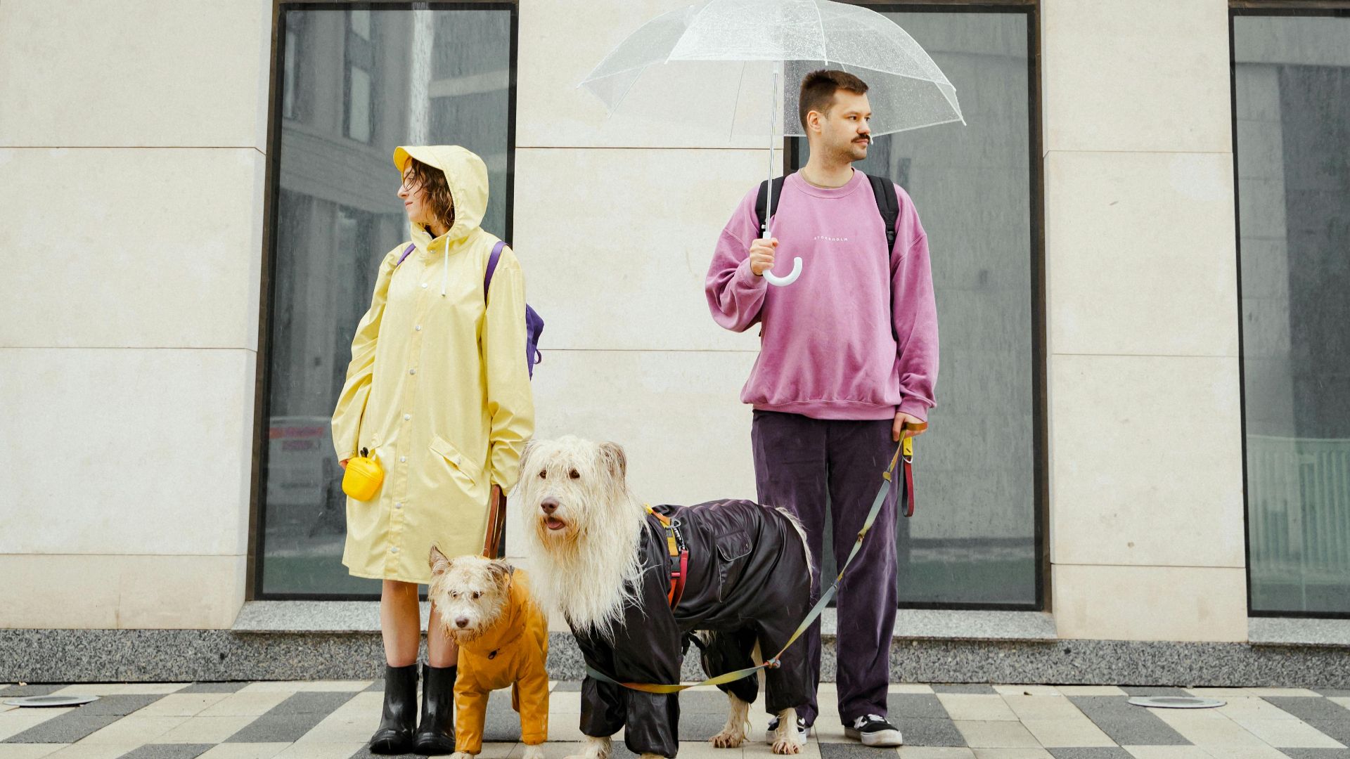 Pulling your leg: Popular idioms with strange—and often dark—origins