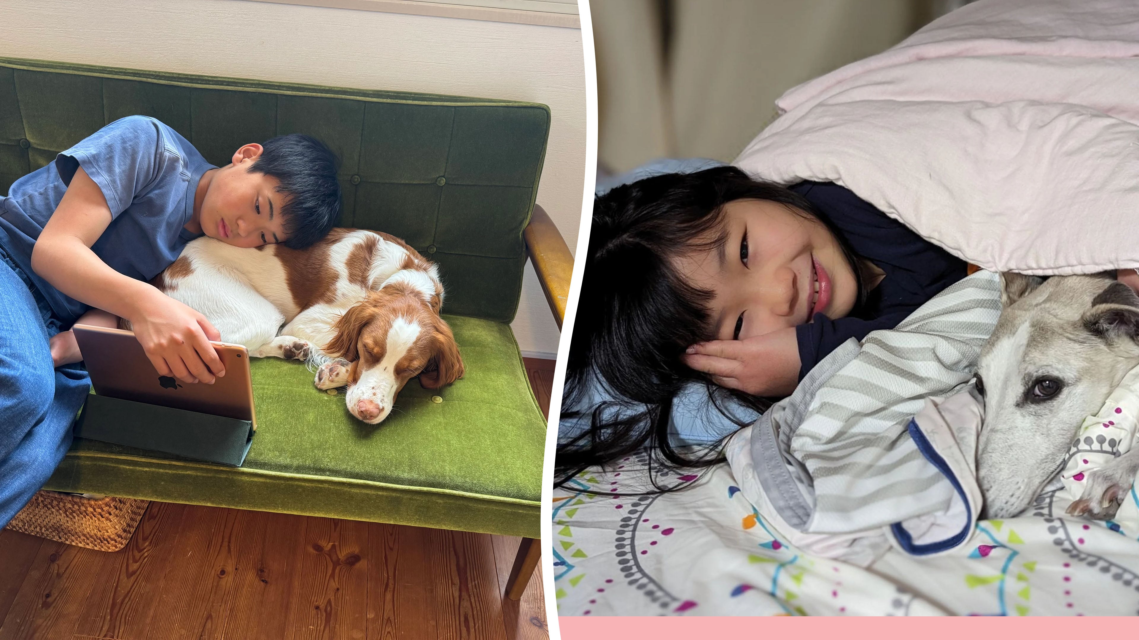 Pet dogs boost teenagers' mental health "by changing microbes in their ...