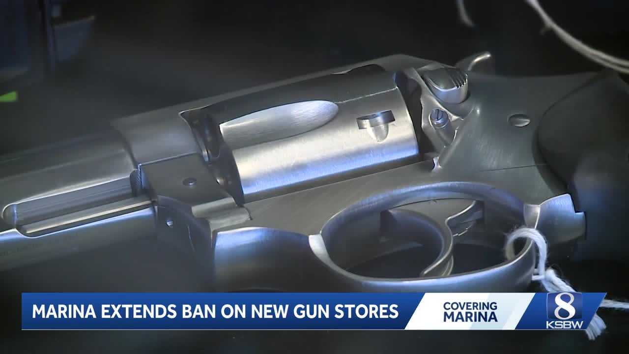 Marina extends ban on new gun stores for further regulation planning