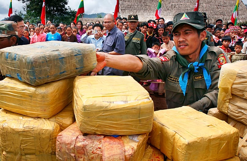 Cultivo da papoila do ópio em Myanmar atinge o nível mais elevado da ...
