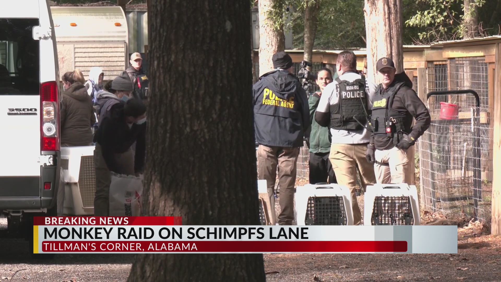 Federal agents swarm Tillmans Corner home; over a dozen monkeys discovered