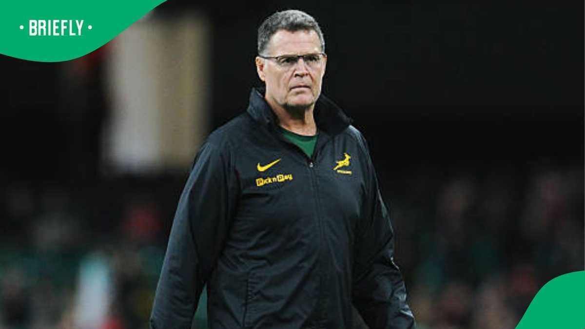 Rassie Erasmus dismisses Springbok injury crisis before Barbarians clash