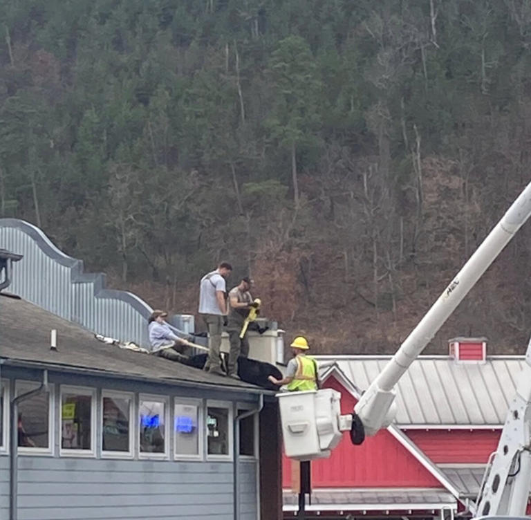 Driver pulls over when she spots someone huge on the roof of Bubba Gump ...