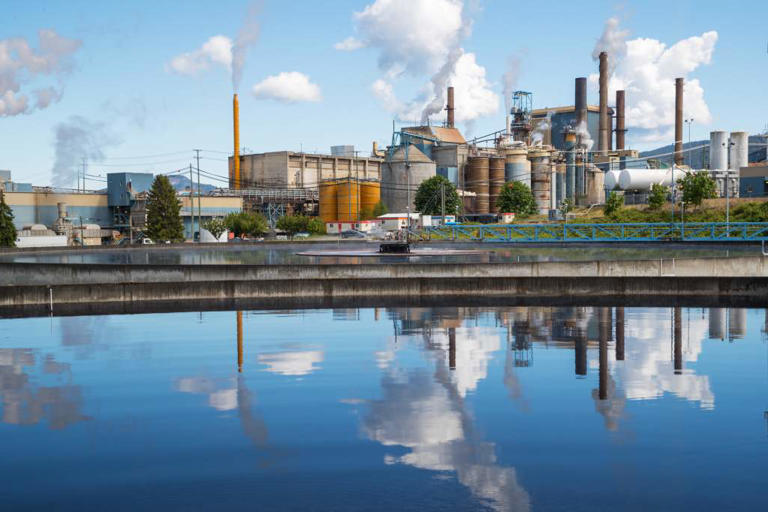 BC pulp mill to close, leaving 350 employees out of work