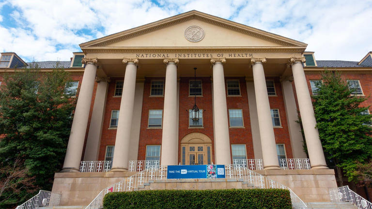 New NIH Policies Make It Easier to End Grants, Ignore Peer Review