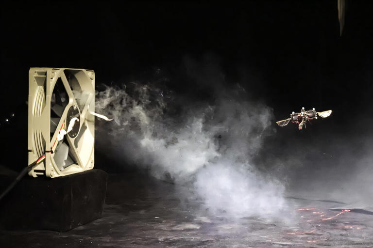 Aerial microrobot can fly as fast as a bumblebee
