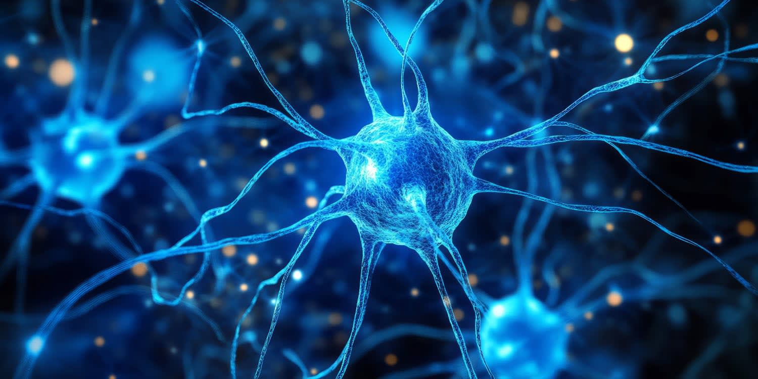 Long-term calorie restriction may slow biological aging in the brain