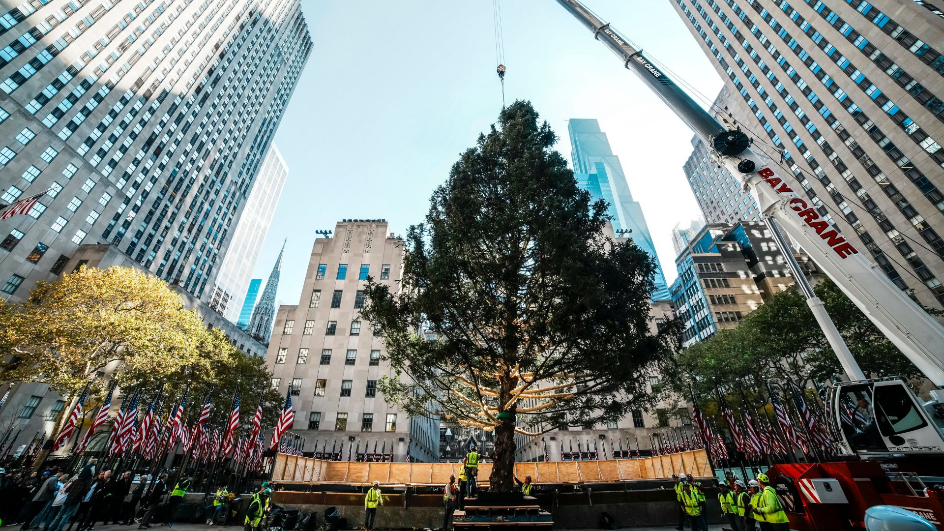 Rockefeller Center Christmas tree to light up holiday season in New ...