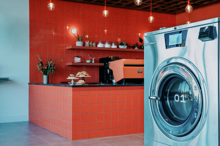 The Chicks' Emily Strayer opening new laundromat/coffee lounge in San ...