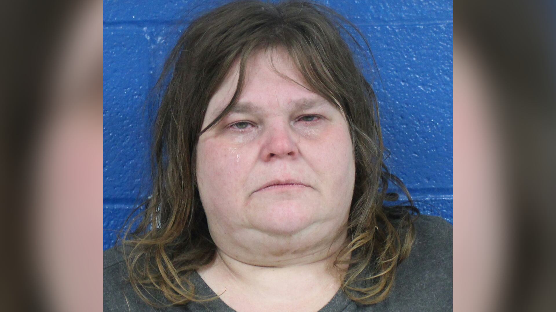 Deputies: Nash Co. woman charged after home found with four dead ducks