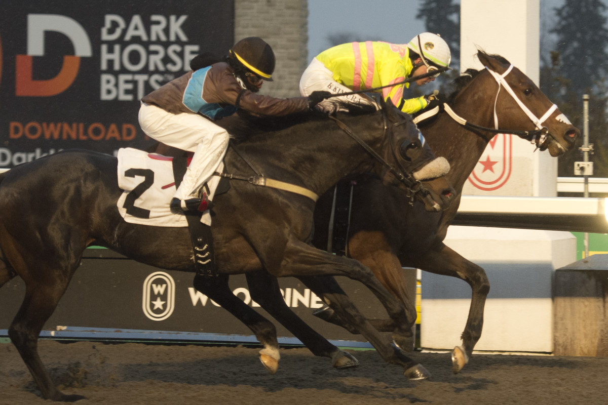 Kevin Attard saddles three for Woodbine’s Valedictory Stakes