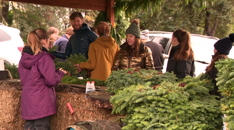 Being family-friendly 'is paramount' at Pollard Ranch