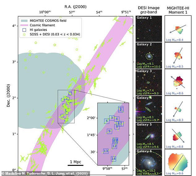 Astronomers spot one of the largest spinning structures ever found in ...