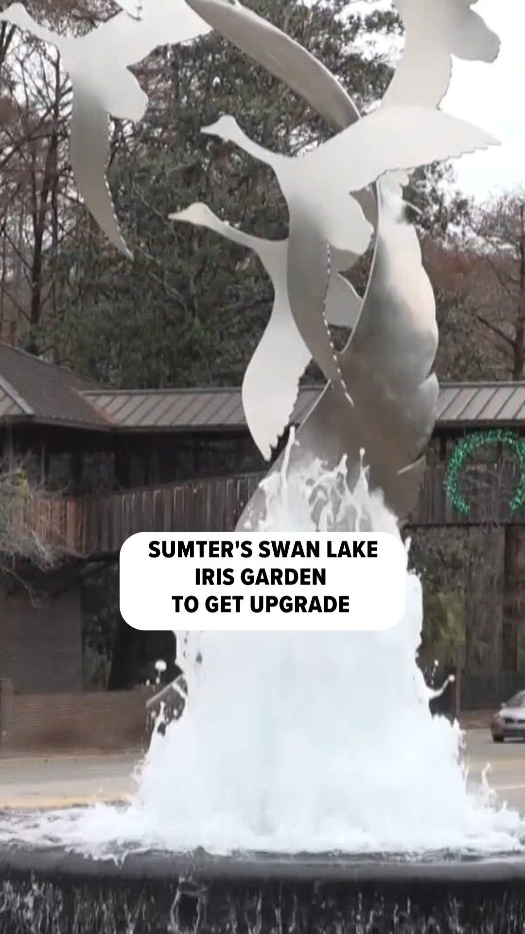 Iris garden in Sumter to get major upgrade
