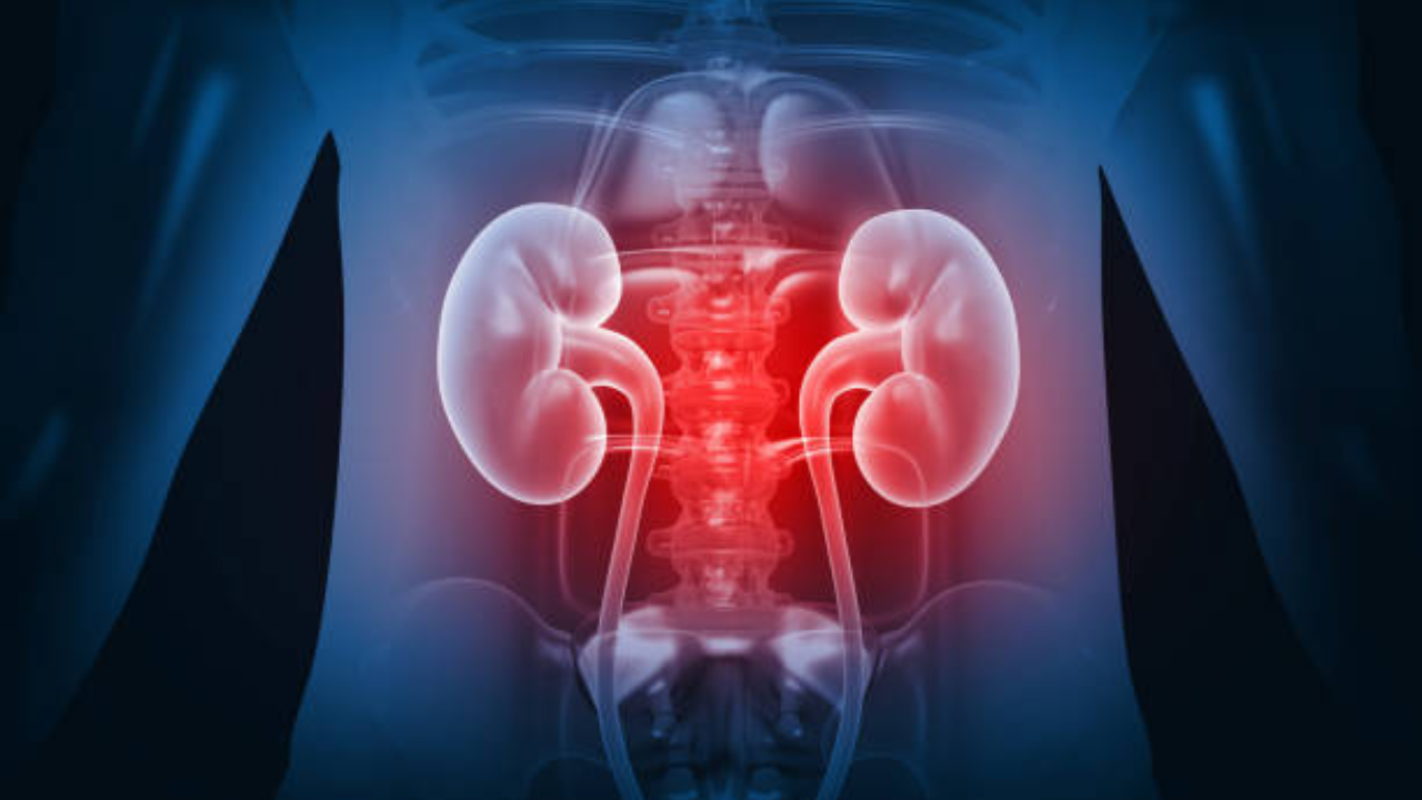 Kidney damage: Why most people don’t realize their kidneys are failing ...