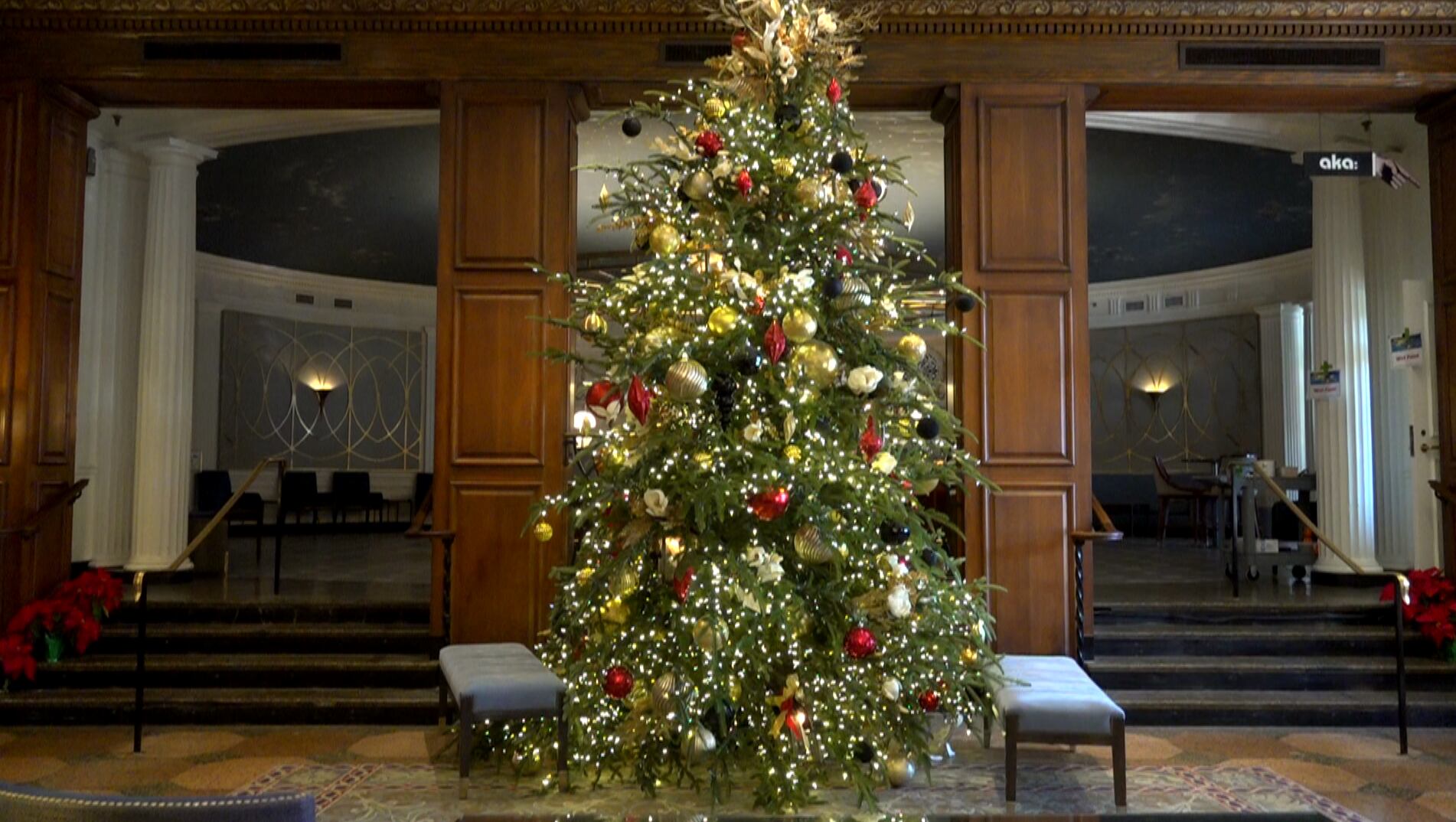 Real or artificial? Your Christmas tree choice impacts the environment