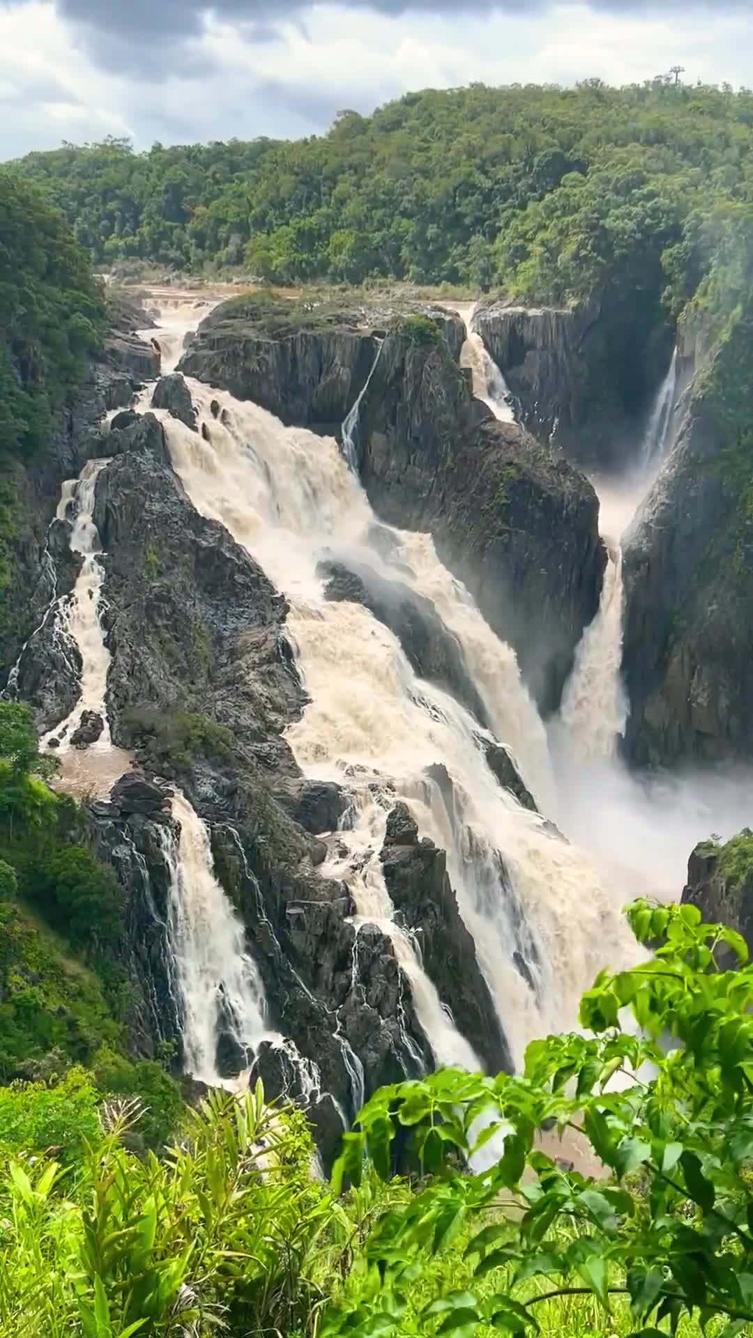 How epic is Barron Falls? #shorts