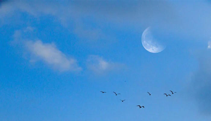 Why is the moon visible during the day in the Big Country sky?